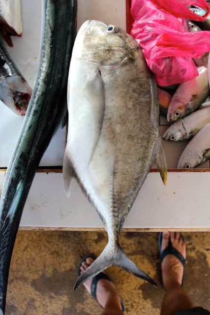 Market Manila - Reef Fresh Seafood at the Bantayan Town Market!! - General