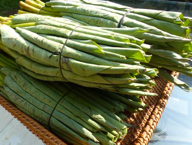 Market Manila - Young Furled Taro (Gabi) Leaves - General