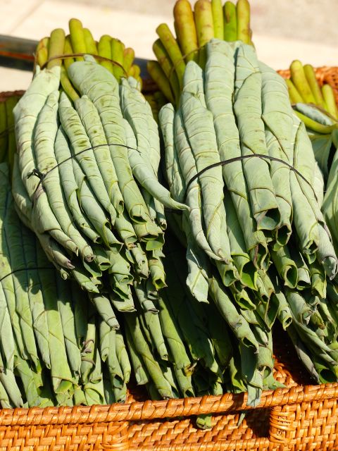 Market Manila - Young Furled Taro (Gabi) Leaves - General