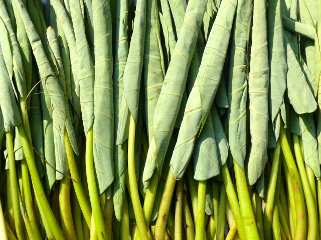 Market Manila - Young Furled Taro (Gabi) Leaves - General