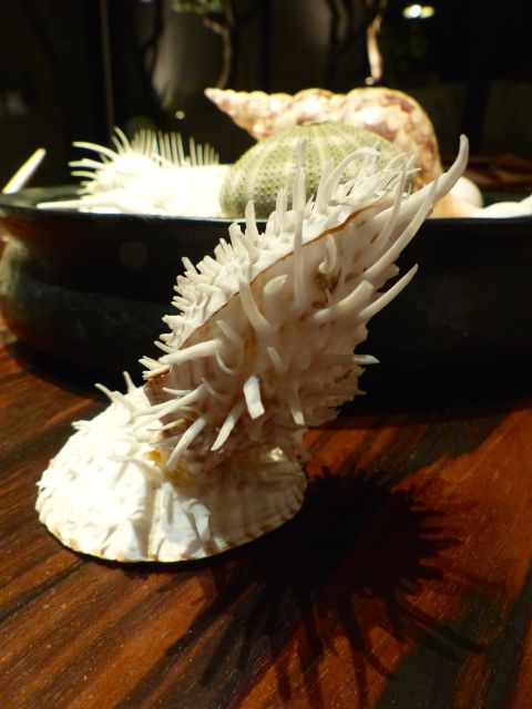 Market Manila - Sea Shells From the Sea Shore… - General