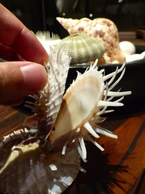 Market Manila - Sea Shells From the Sea Shore… - General